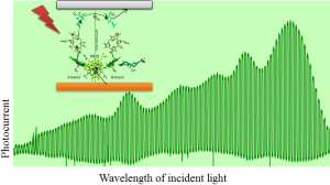 Exploitation of bacteria for solar energy harvesting – Atlas of Science