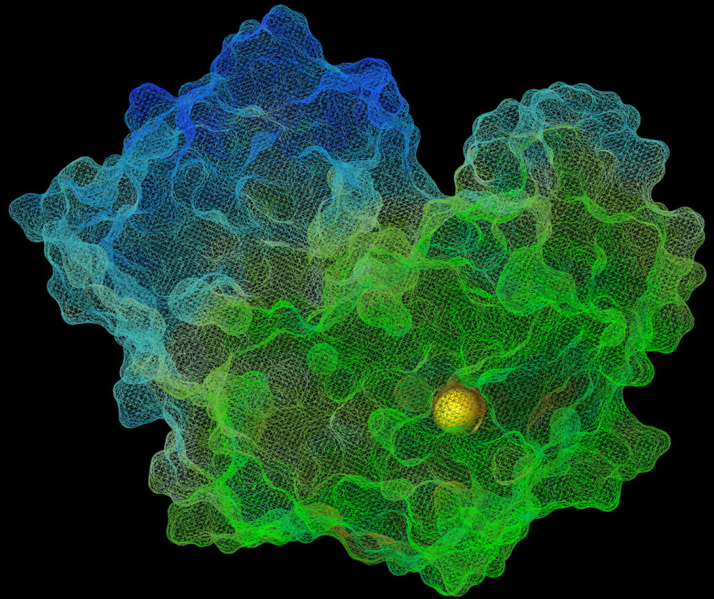 The inert noble gases are anything but inert biologically – Atlas of ...